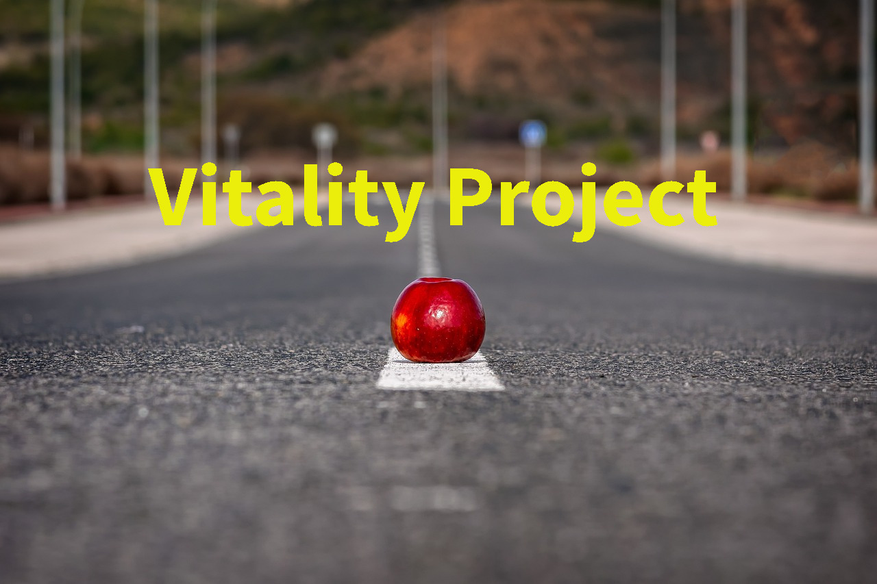 Vitality Project - Mentally Healthier